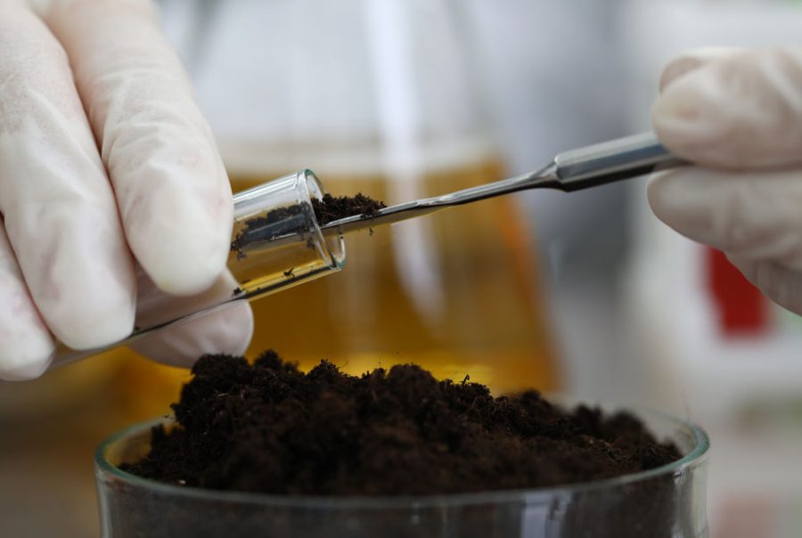 Soil Health | The Importance of Healthy Soil