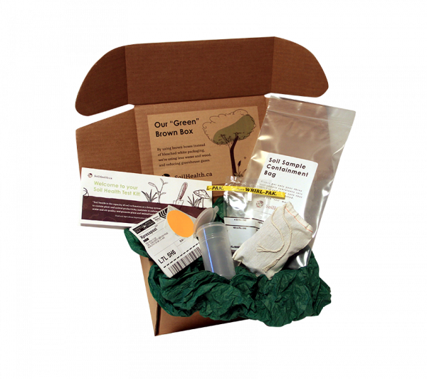 Soil Health | The Importance of Healthy Soil